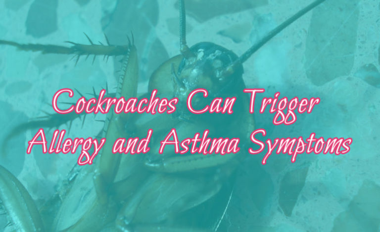 Cockroaches Can Trigger Allergy and Asthma Symptoms - Family Allergy ...
