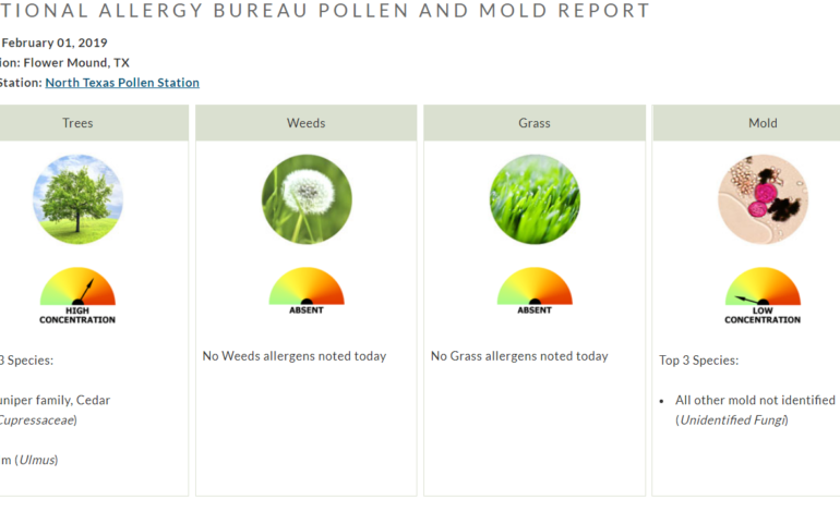 Tree Pollen Allergy