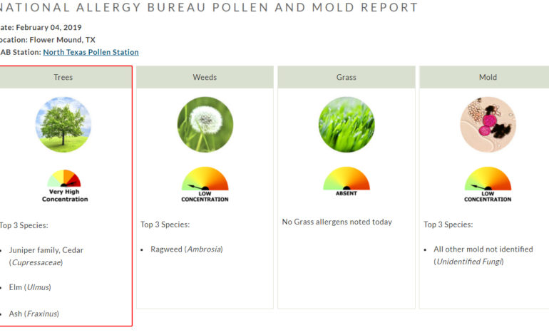 Tree Pollen Alert: February 4, 2019 - Family Allergy & Asthma Care