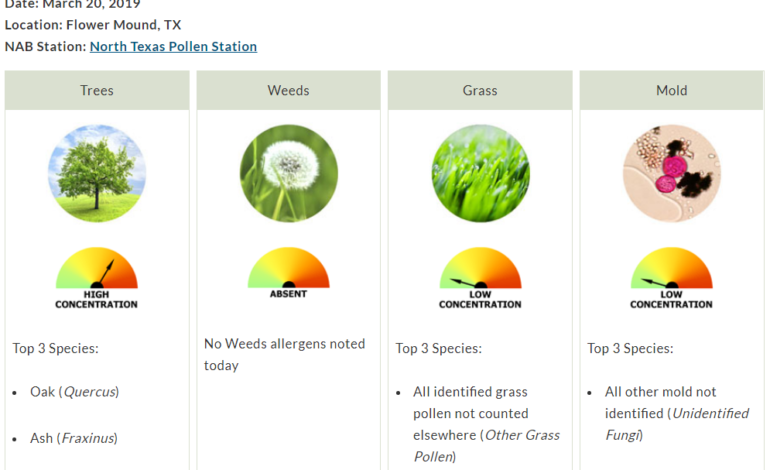 pollen count Archives - Family Allergy and Asthma Care in Flower Mound ...