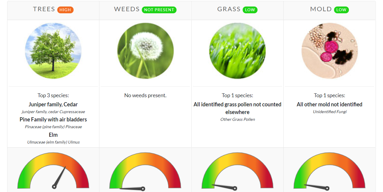 Pollen Count – March 8, 2021 - Family Allergy & Asthma Care