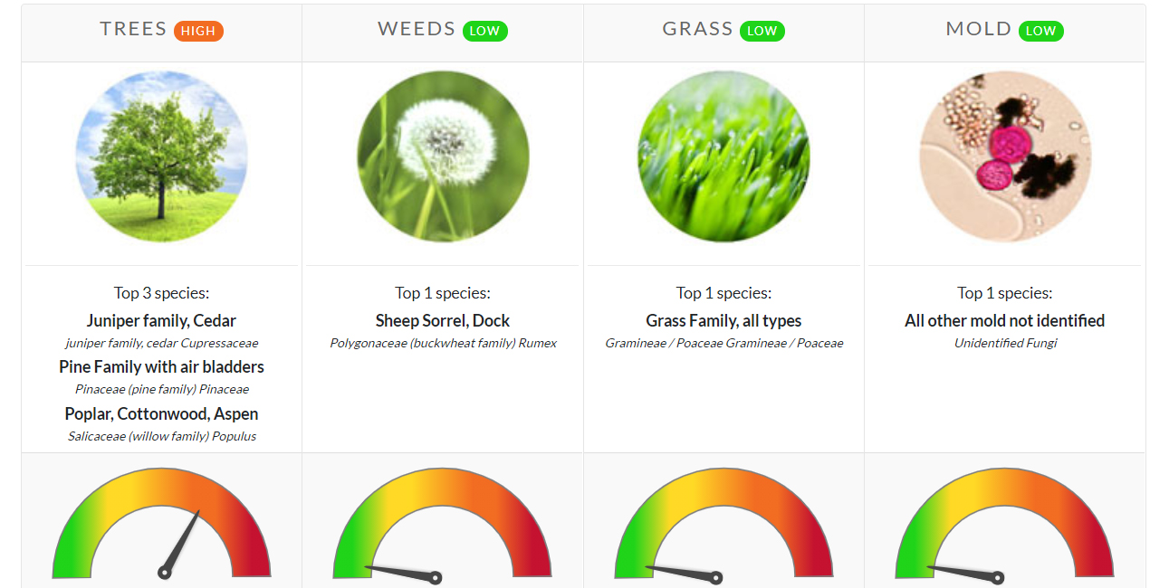Pollen Count – March 12, 2021 - Family Allergy & Asthma Care