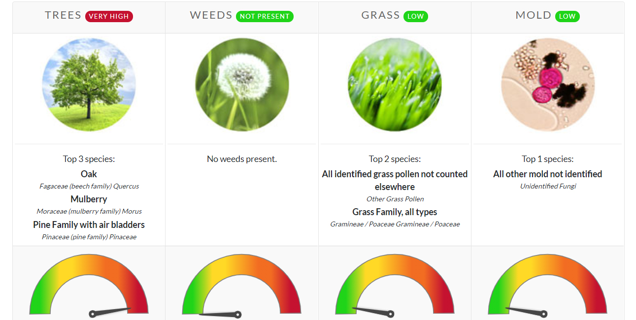 Pollen Count - March 21, 2021 - Family Allergy & Asthma Care