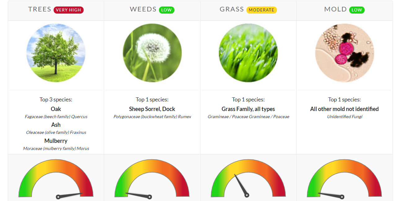 Pollen Count - April 8, 2021 - Family Allergy & Asthma Care