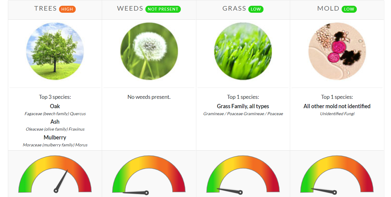 Pollen Count - April 11, 2021 - Family Allergy & Asthma Care