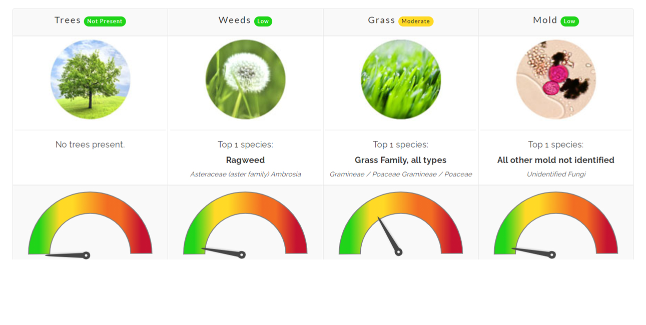 Pollen Count - May 21, 2021 - Family Allergy & Asthma Care