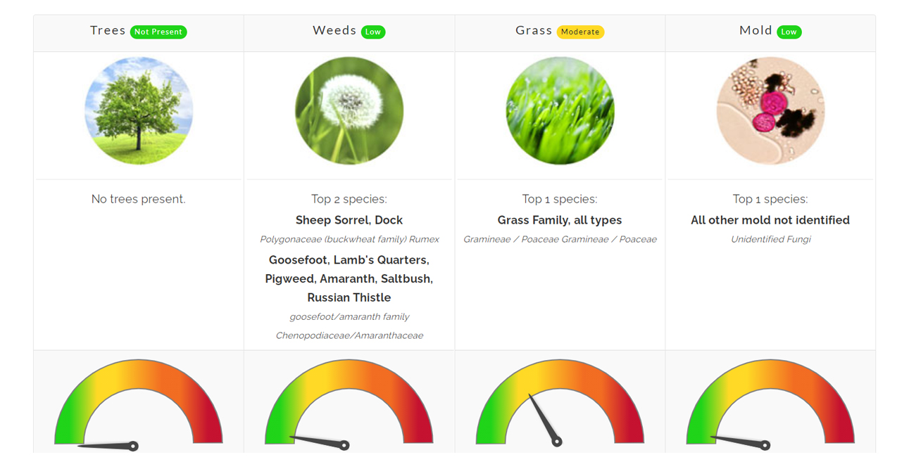 Pollen Count - June 9, 2021 - Family Allergy & Asthma Care