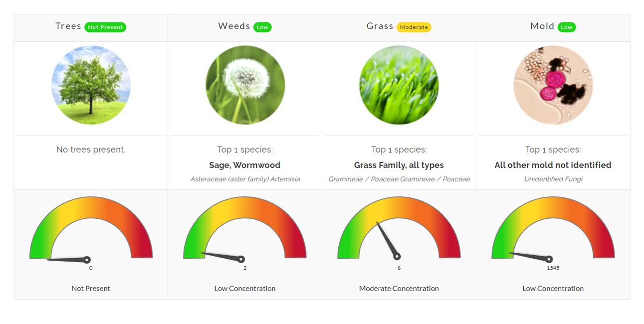 Pollen Count - June 28, 2021 - Family Allergy & Asthma Care