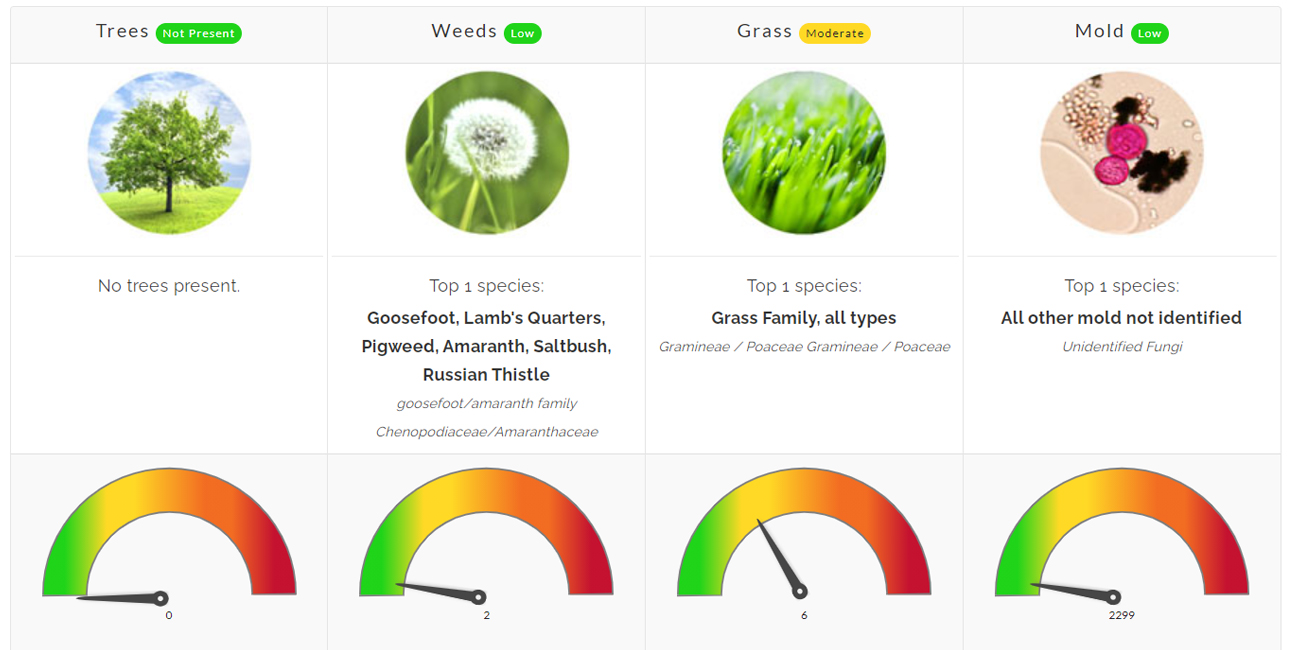Pollen Count - July 23, 2021 - Family Allergy & Asthma Care