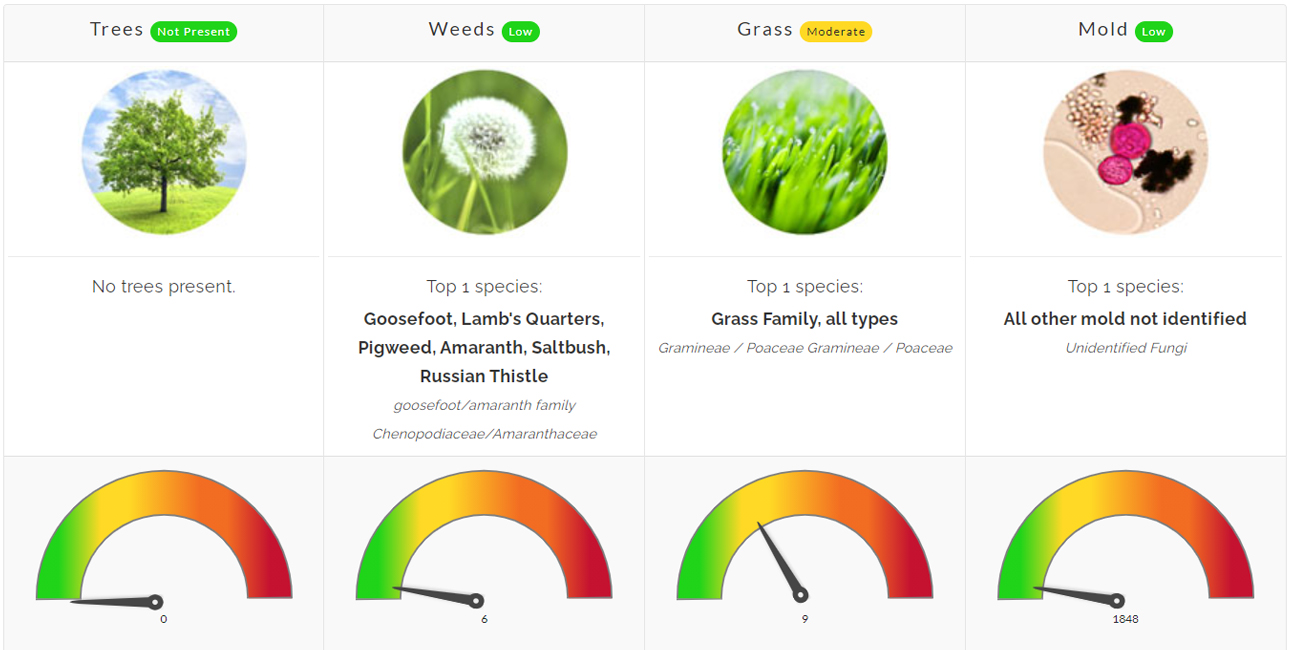 Pollen Count - July 26, 2021 - Family Allergy & Asthma Care