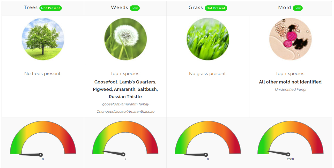 Pollen Count - August 11, 2021 - Family Allergy & Asthma Care