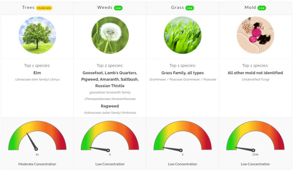 Pollen Count - August 26, 2021 - Family Allergy & Asthma Care