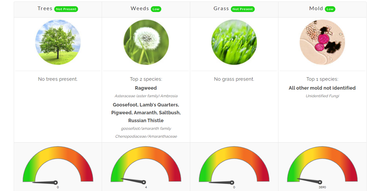 Pollen Count - August 18, 2021 - Family Allergy & Asthma Care