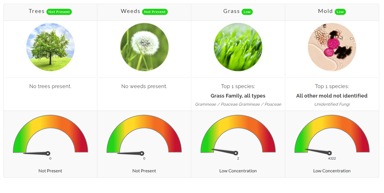 Pollen Count - August 20, 2021 - Family Allergy & Asthma Care