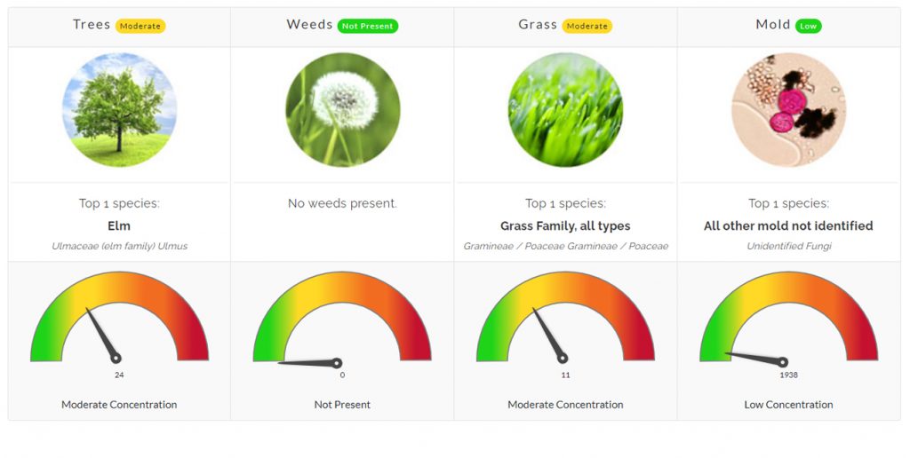 Pollen Count - August 27, 2021 - Family Allergy & Asthma Care