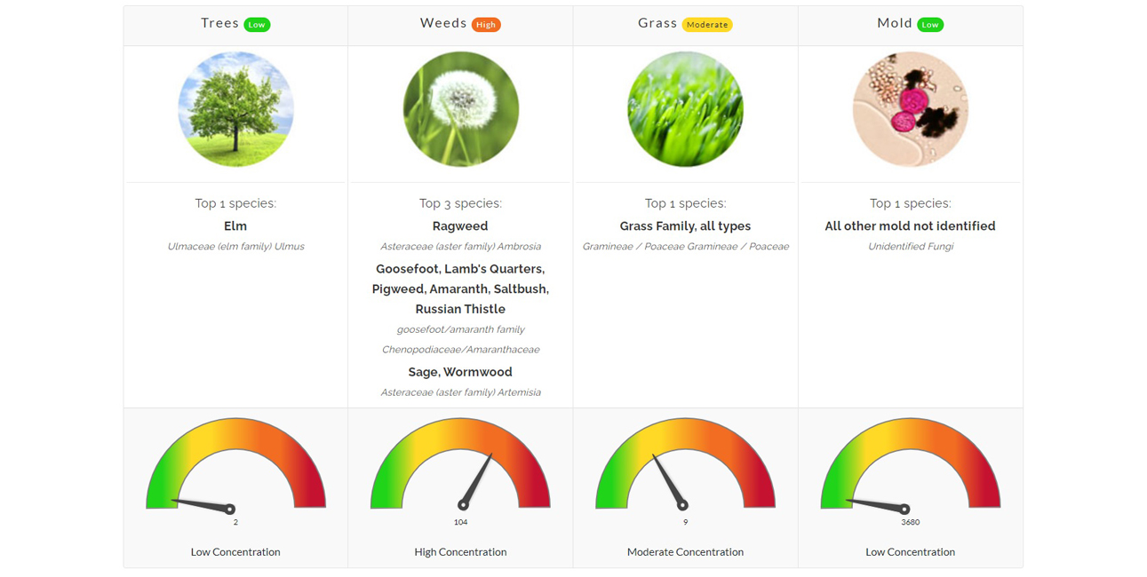 Pollen Count - September 10, 2021 - Family Allergy & Asthma Care