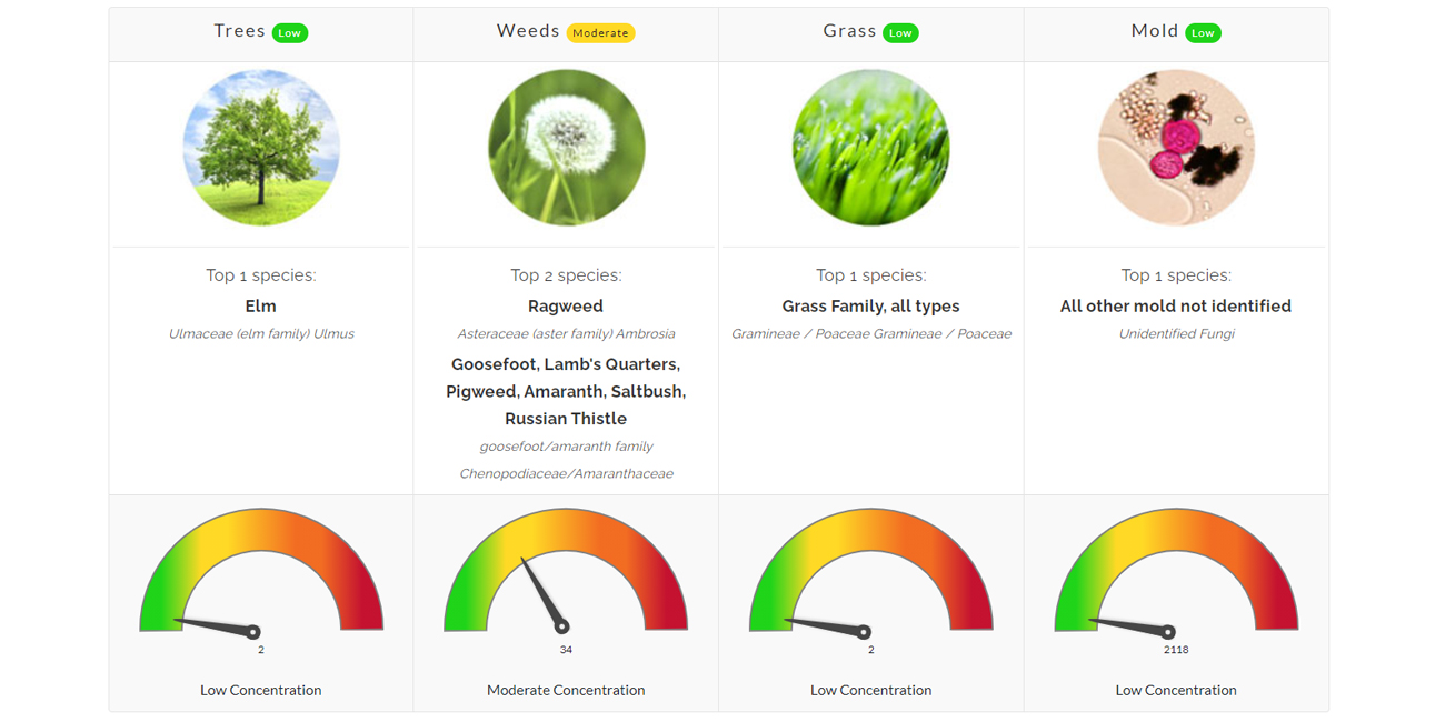 Pollen Count - September 13, 2021 - Family Allergy & Asthma Care