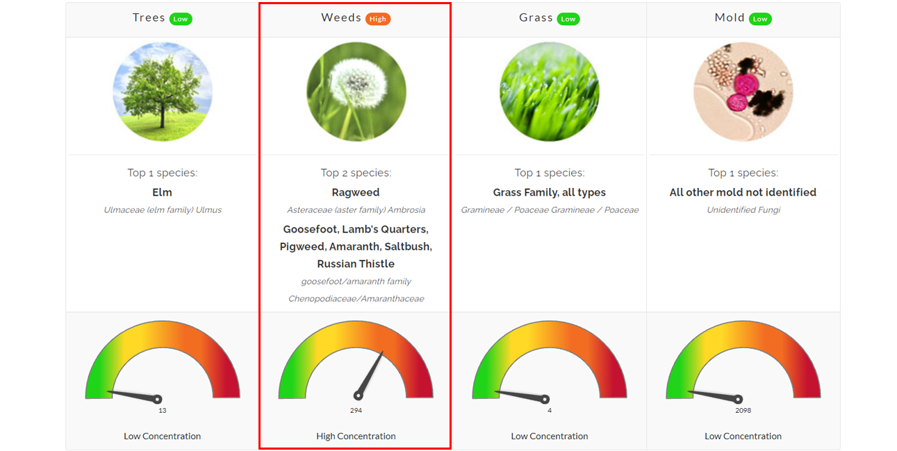 Pollen Count - September 24, 2021 - Family Allergy & Asthma Care