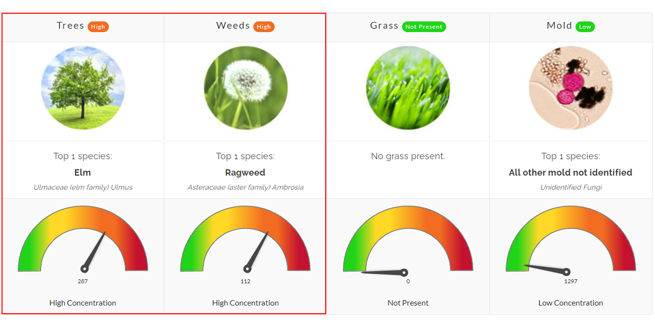 Pollen Count - October 1, 2021 - Family Allergy & Asthma Care
