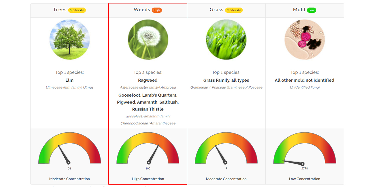 Pollen Count - October 4, 2021 - Family Allergy & Asthma Care