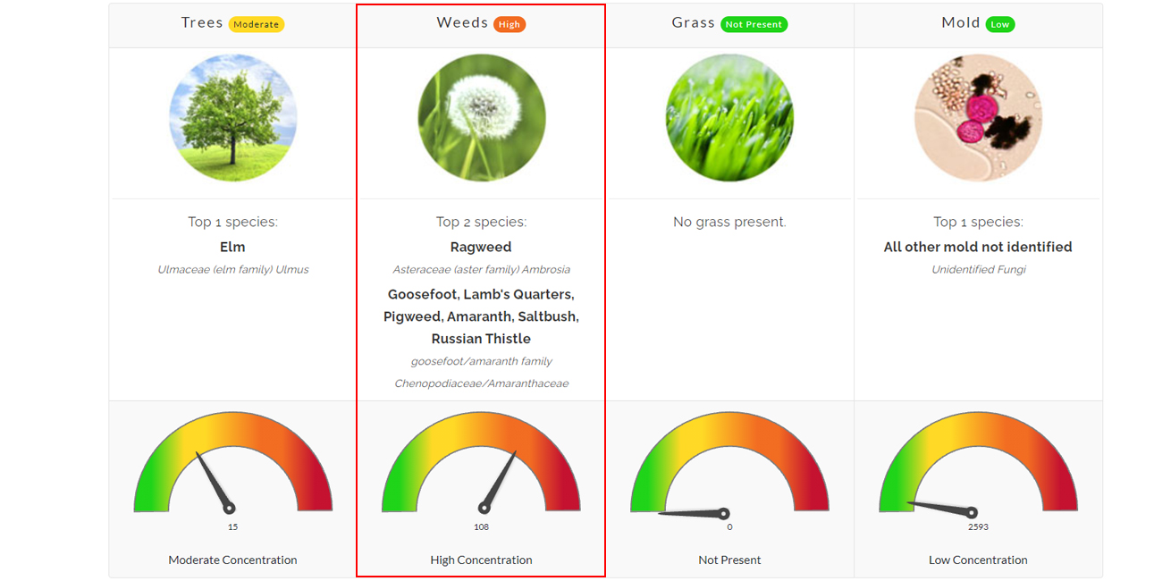 Pollen Count - October 15, 2021 - Family Allergy & Asthma Care