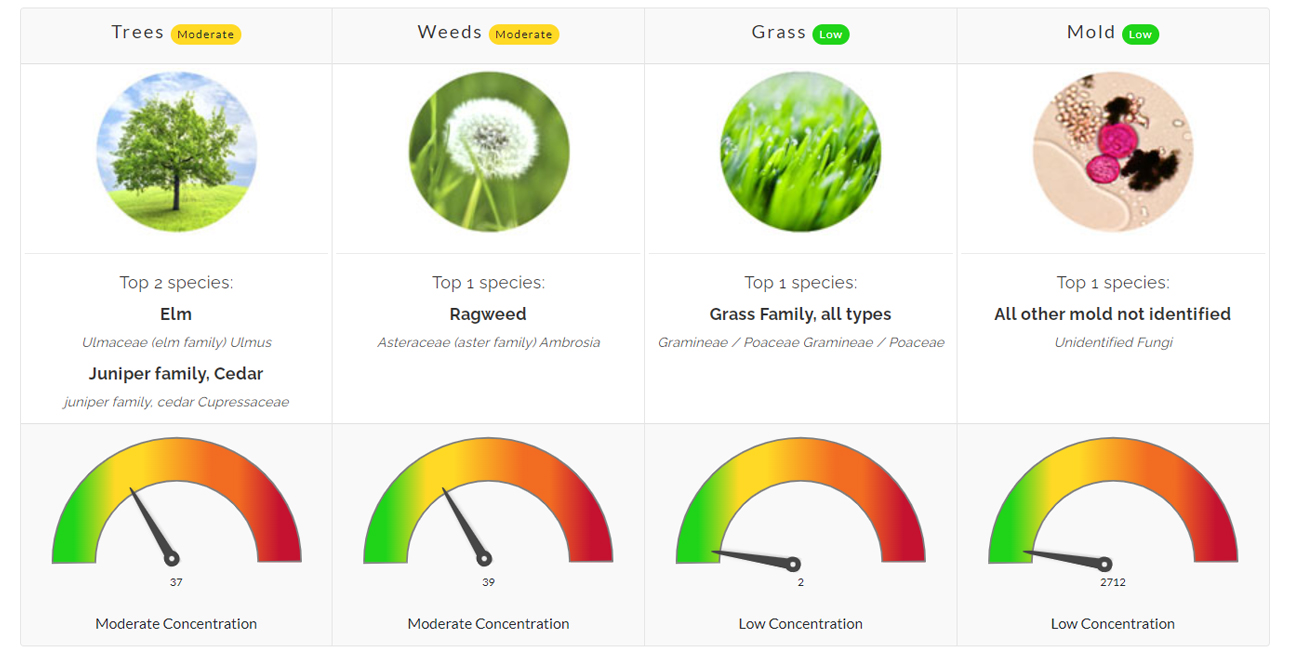 Pollen Count - October 22, 2021 - Family Allergy & Asthma Care