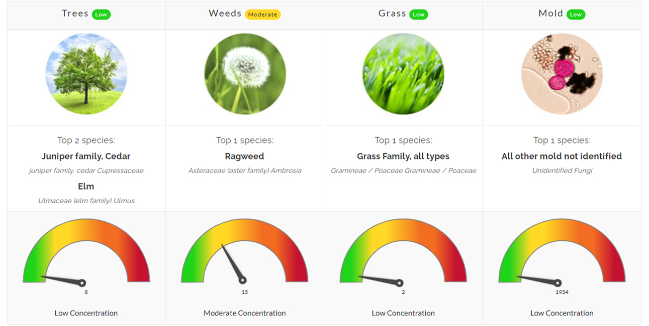 Pollen Count - October 29, 2021 - Family Allergy & Asthma Care