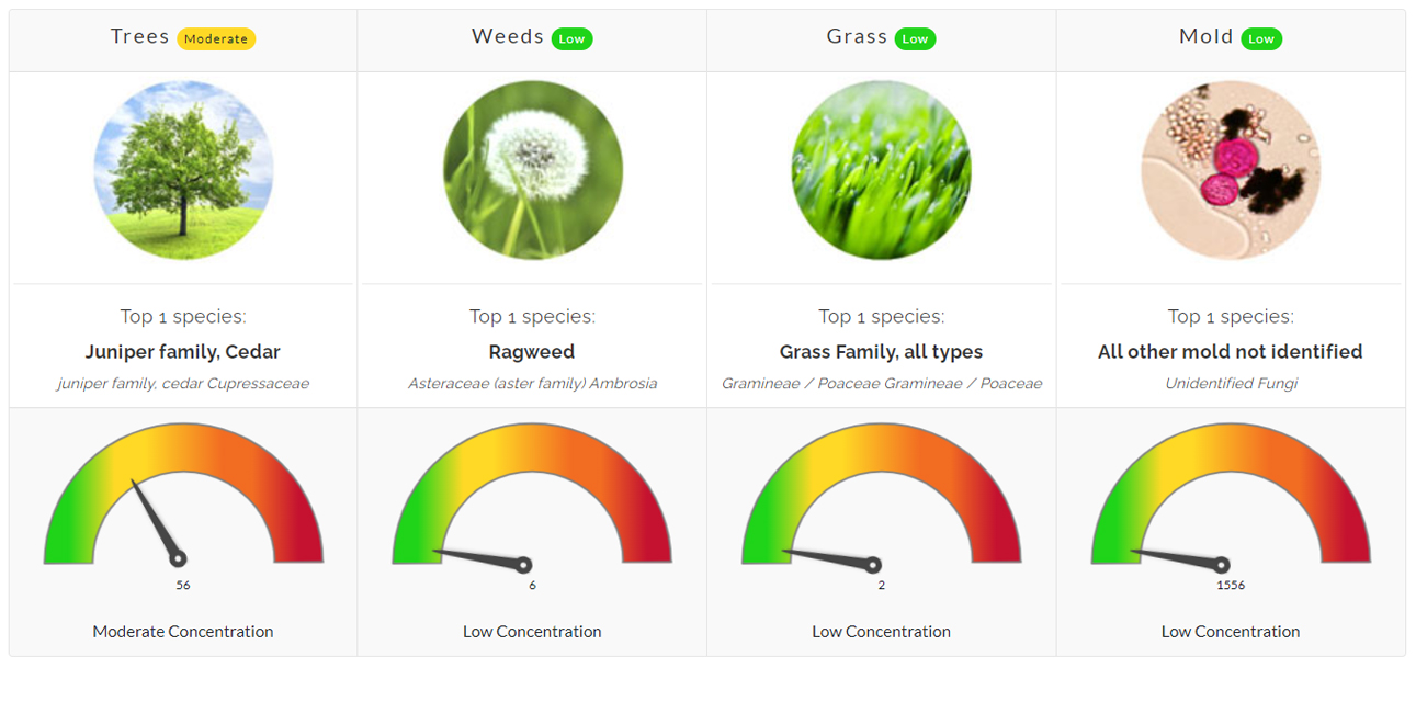 Pollen Count - November 12, 2021 - Family Allergy & Asthma Care