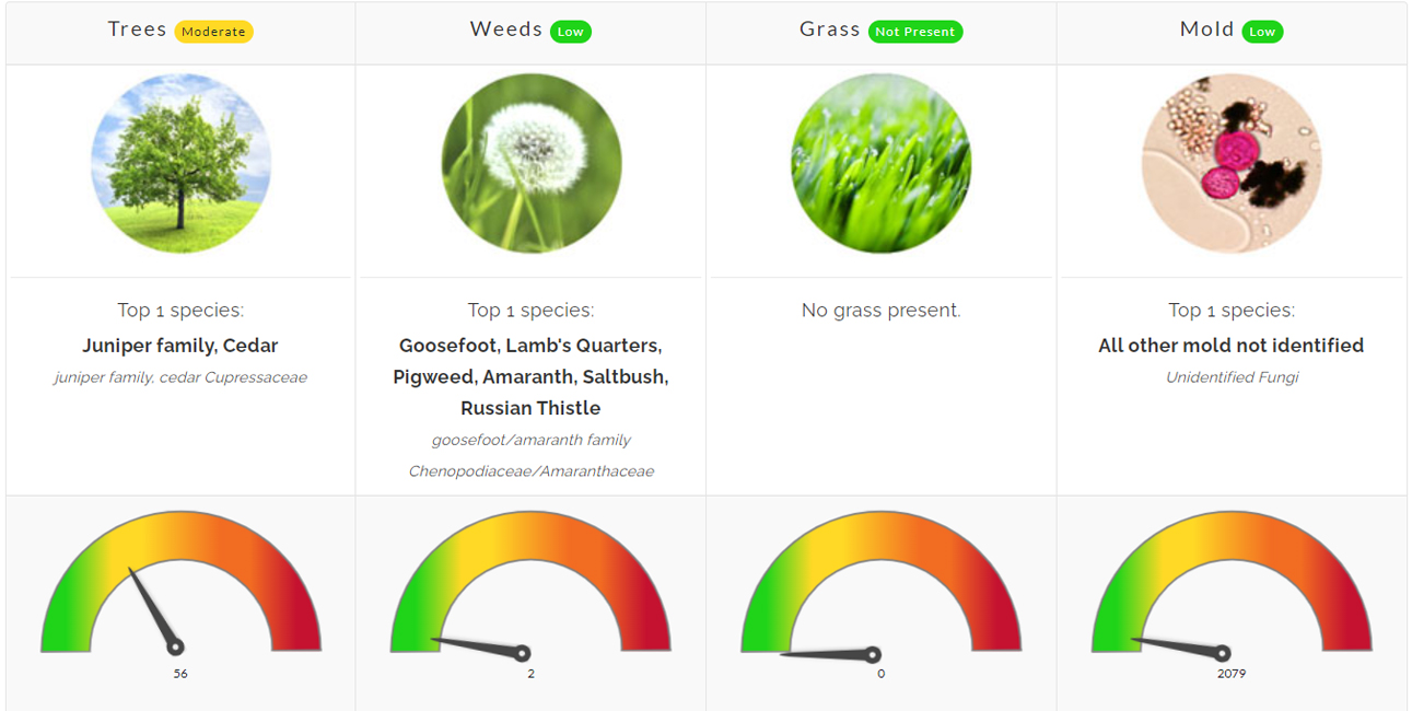 Pollen Count - November 15, 2021 - Family Allergy & Asthma Care
