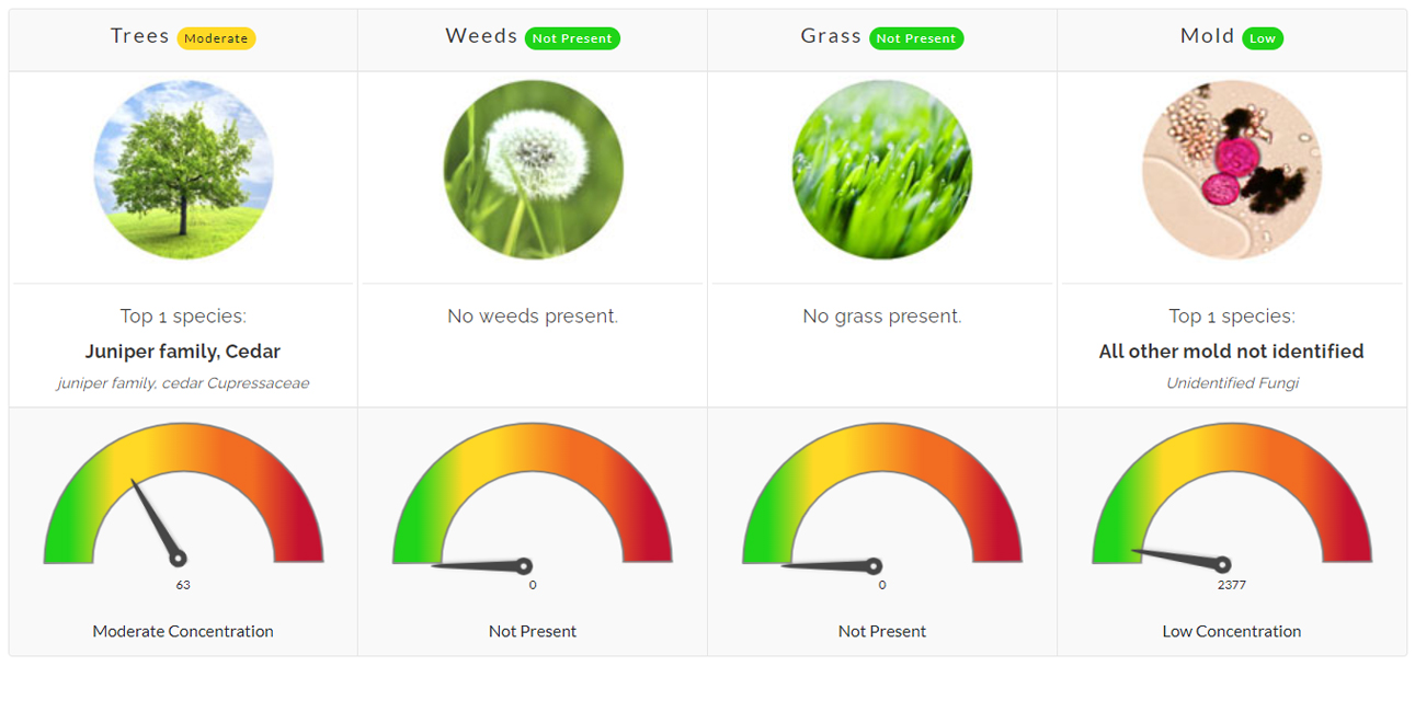 Pollen Count - December 10, 2021 - Family Allergy & Asthma Care