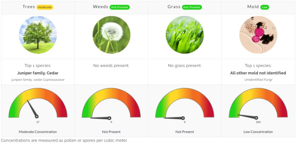Pollen Count - January 3, 2022 - Family Allergy & Asthma Care