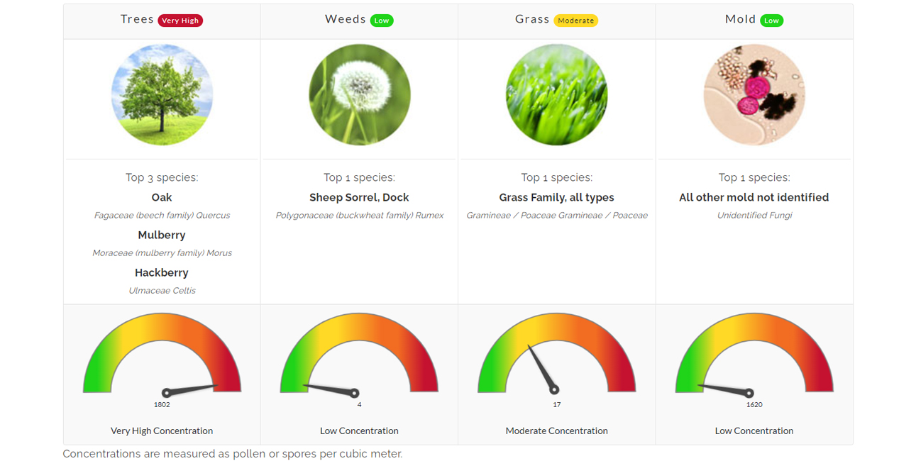 Tree Pollen Alert - April 11, 2022 - Family Allergy & Asthma Care