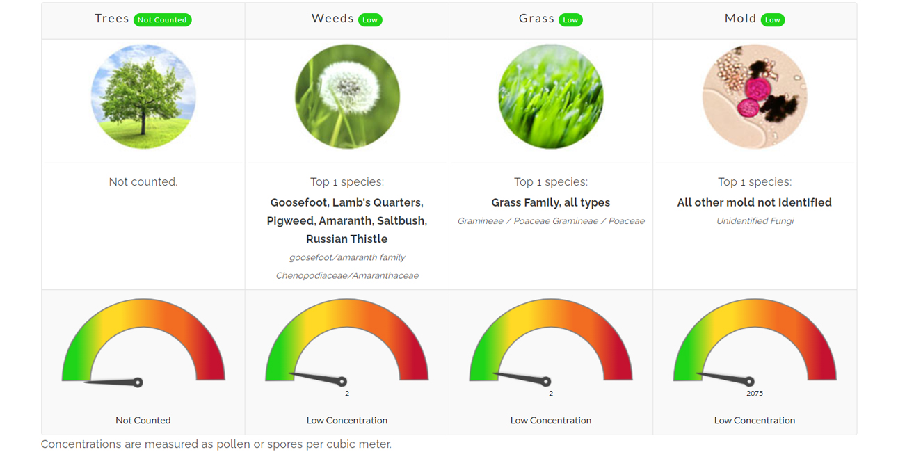 Pollen Count - June 26, 2022 - Family Allergy & Asthma Care