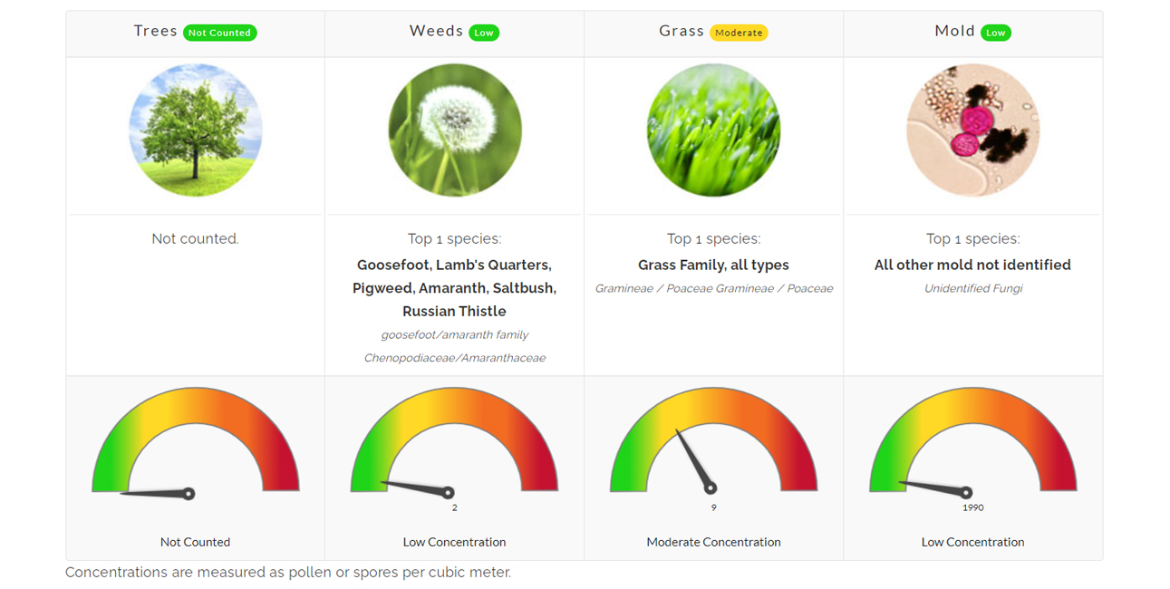 Pollen Count - June 17, 2022 - Family Allergy & Asthma Care