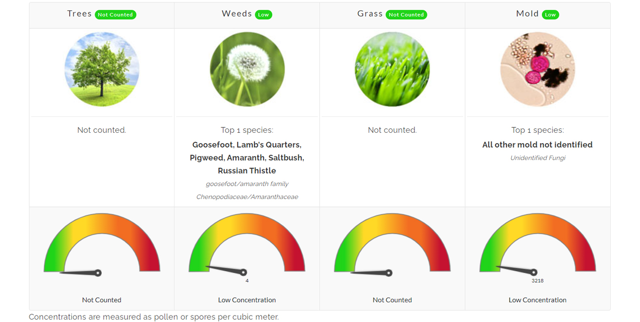 Pollen Count - August 12, 2022 - Family Allergy & Asthma Care