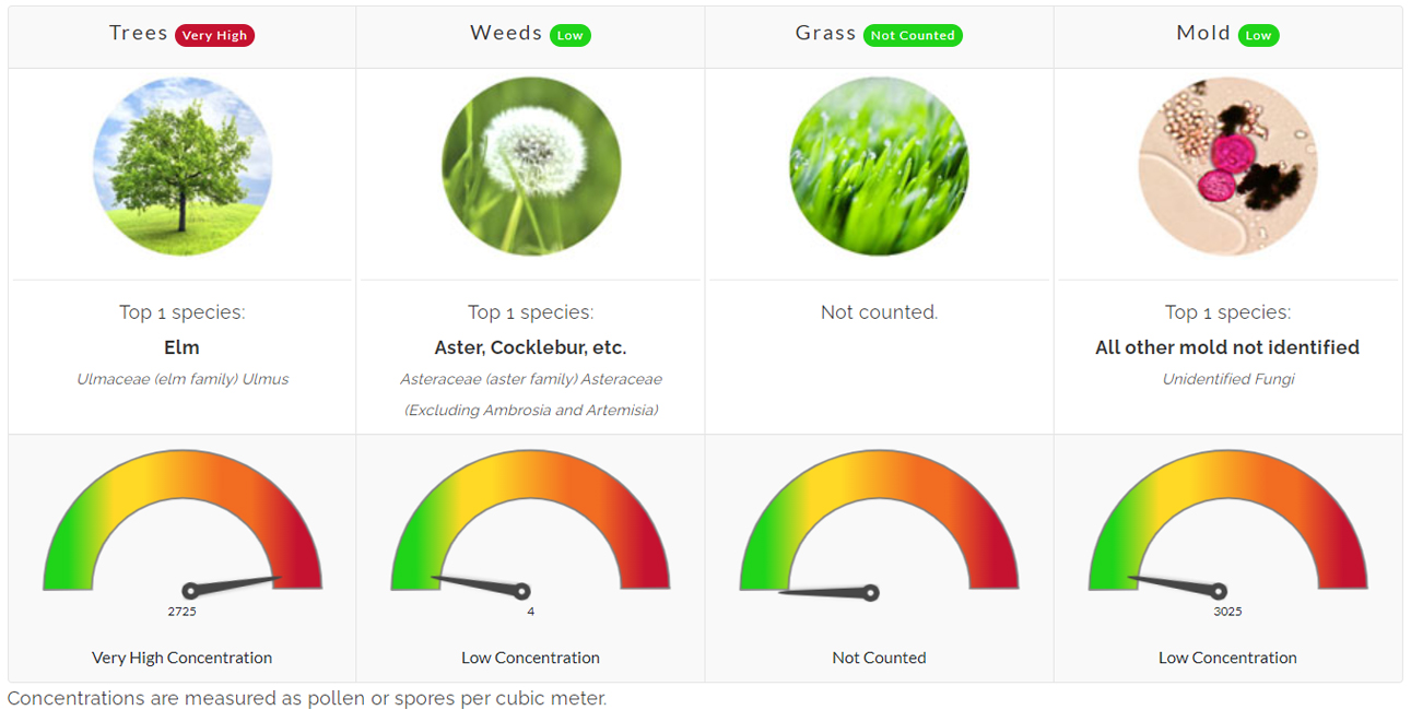 Pollen Count - August 28, 2022 - Family Allergy & Asthma Care