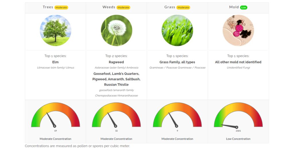 Pollen Count - September 16, 2022 - Family Allergy & Asthma Care