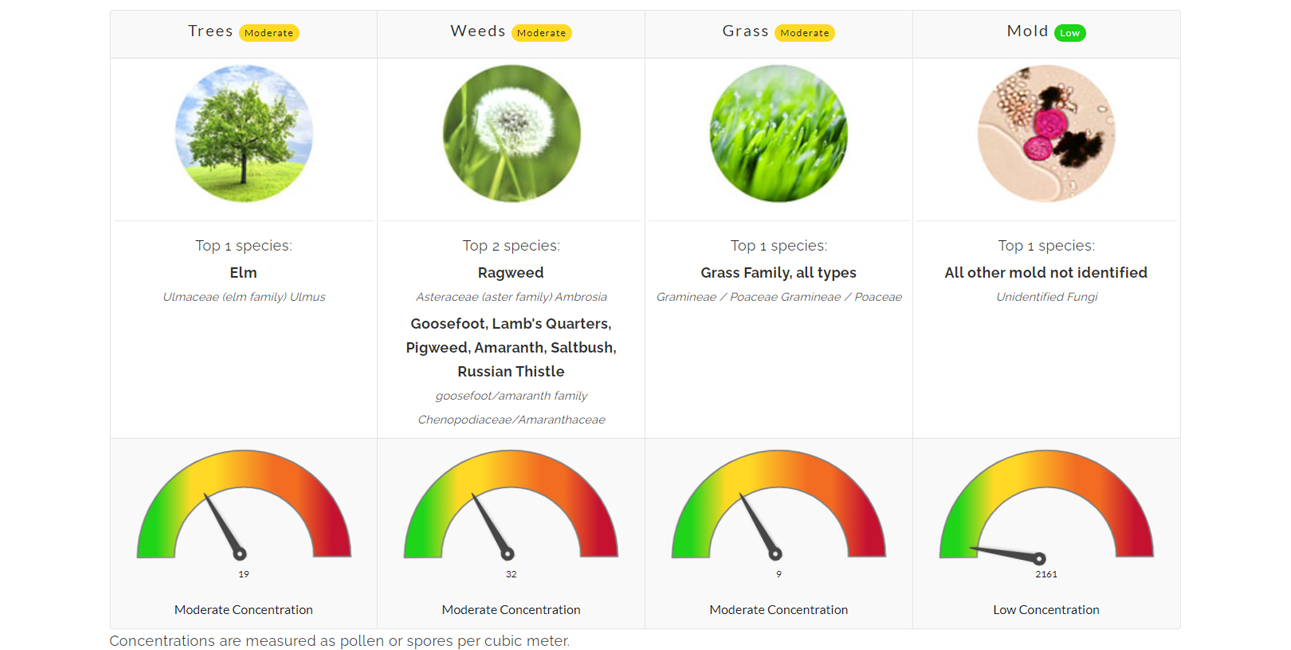 Pollen Count - September 16, 2022 - Family Allergy & Asthma Care