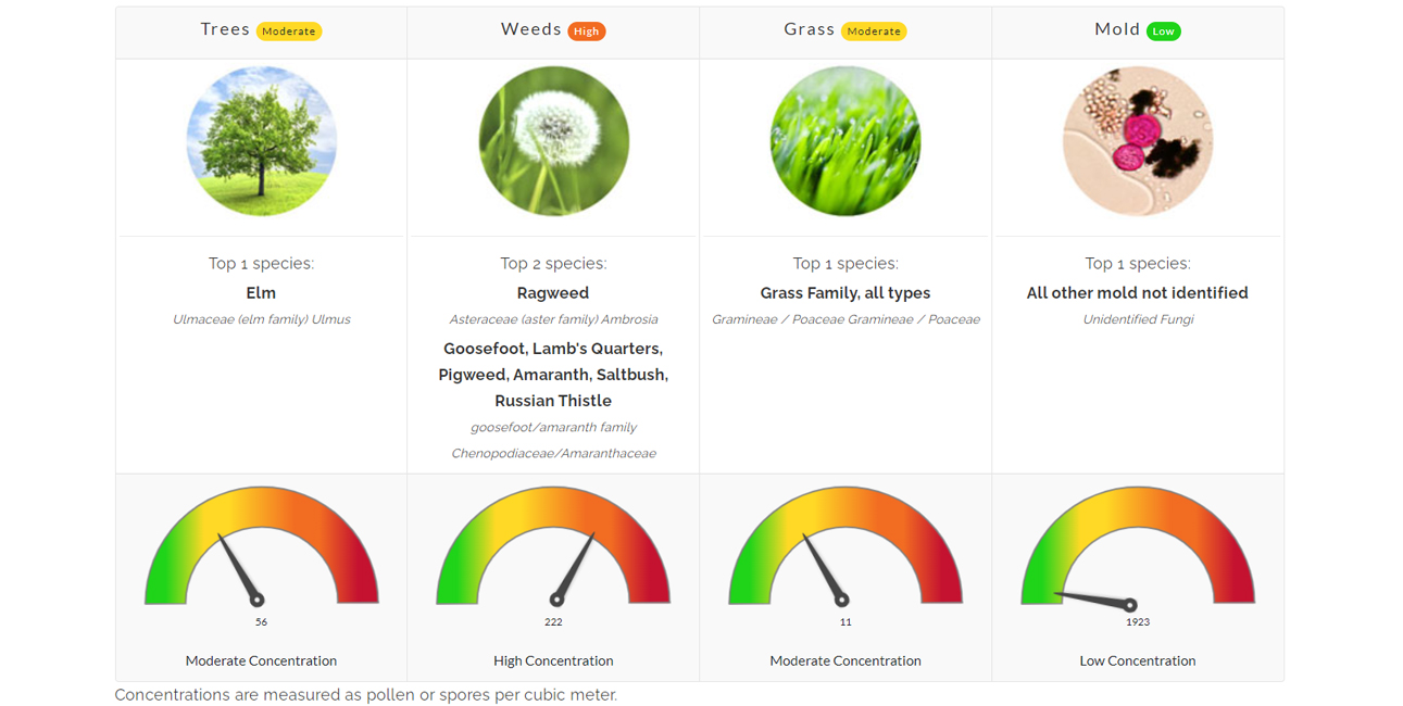 Pollen Count - September 26, 2022 - Family Allergy & Asthma Care