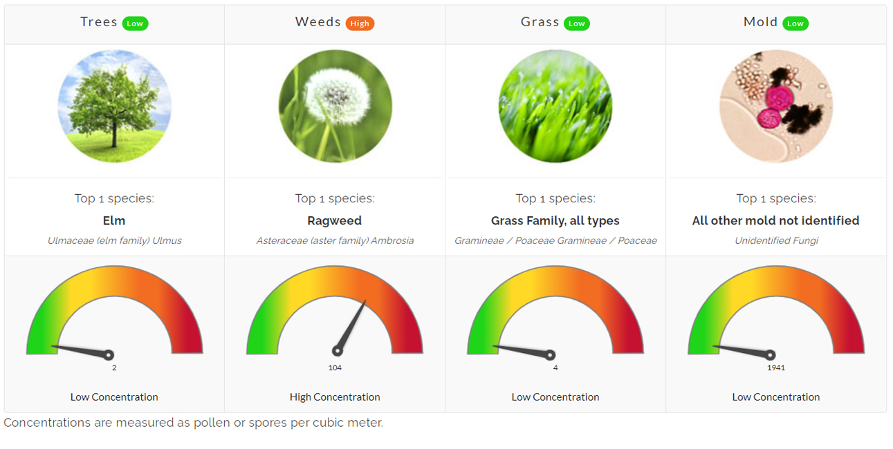 Pollen Count - October 3, 2022 - Family Allergy & Asthma Care