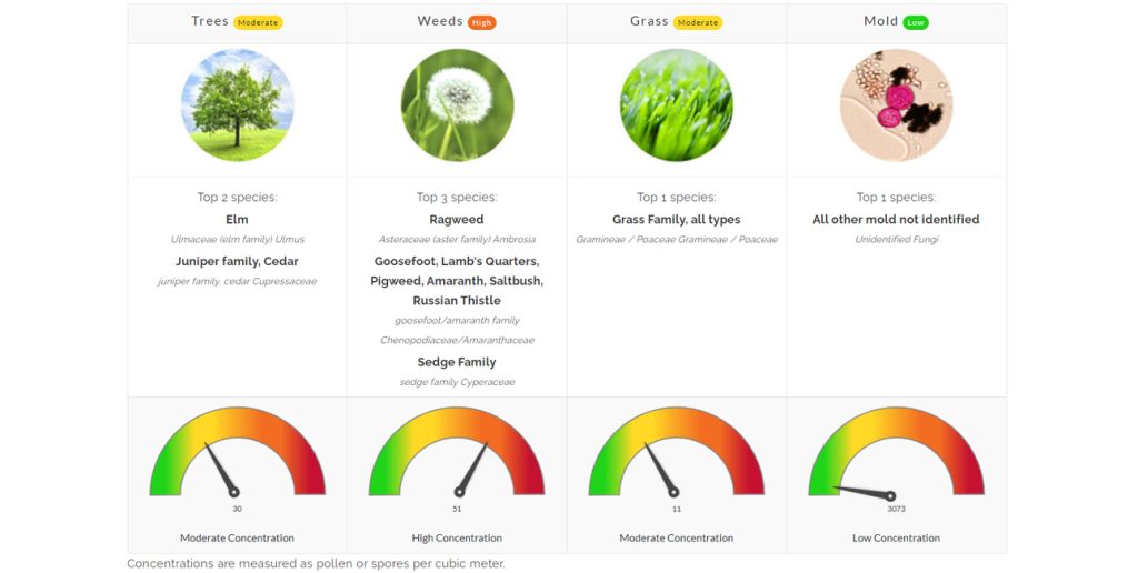 Pollen Count Update - October 14, 2022 - Family Allergy & Asthma Care