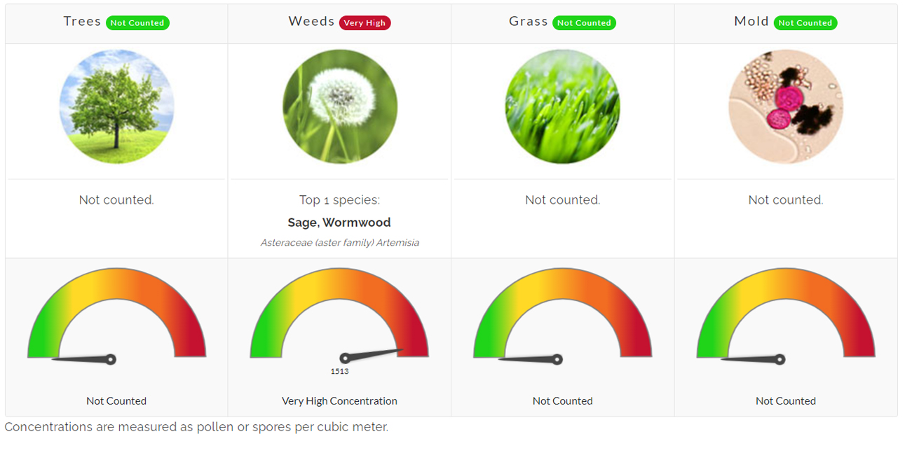 Pollen Count - October 31, 2022 - Family Allergy & Asthma Care