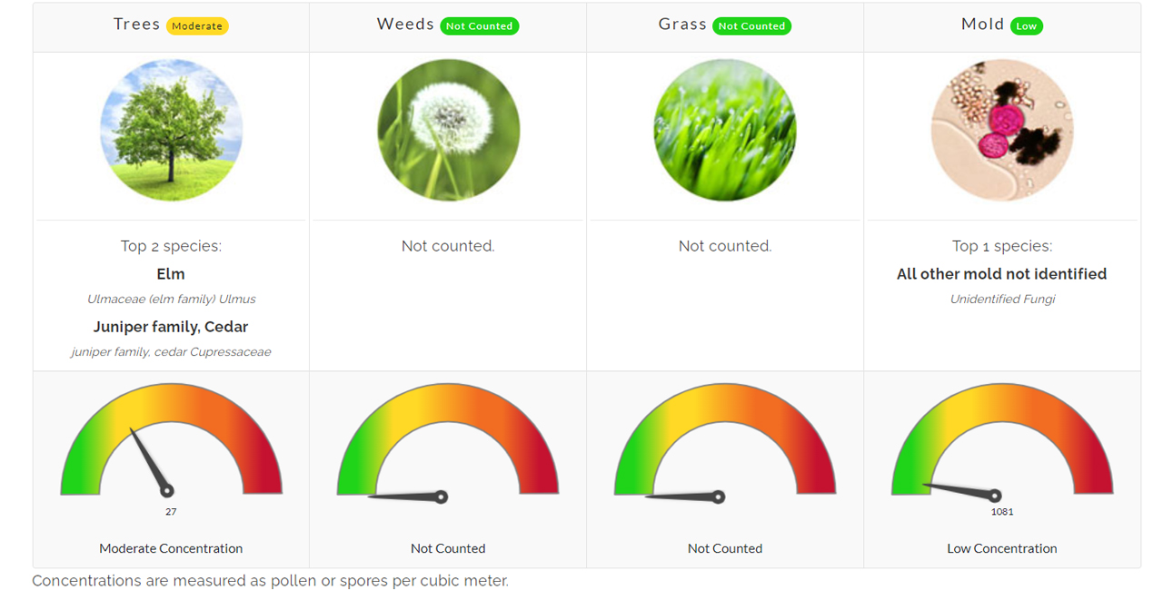 Pollen Count - January 23, 2023 - Family Allergy & Asthma Care