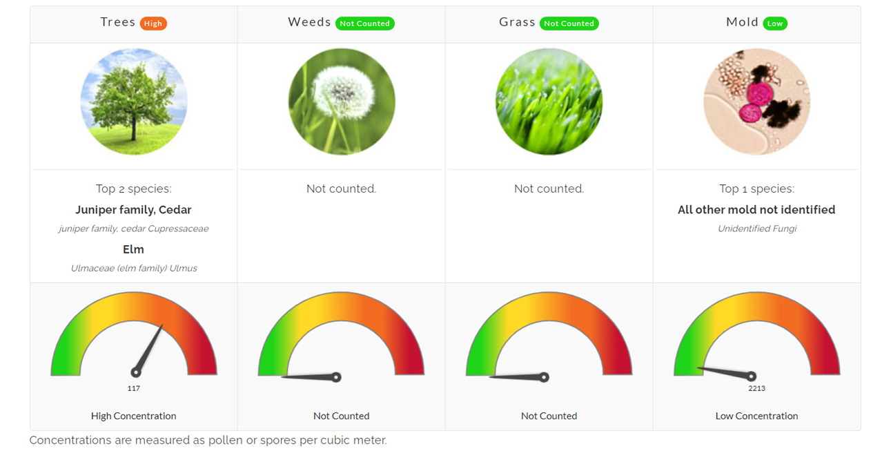 Pollen Count - February 17, 2023 - Family Allergy & Asthma Care