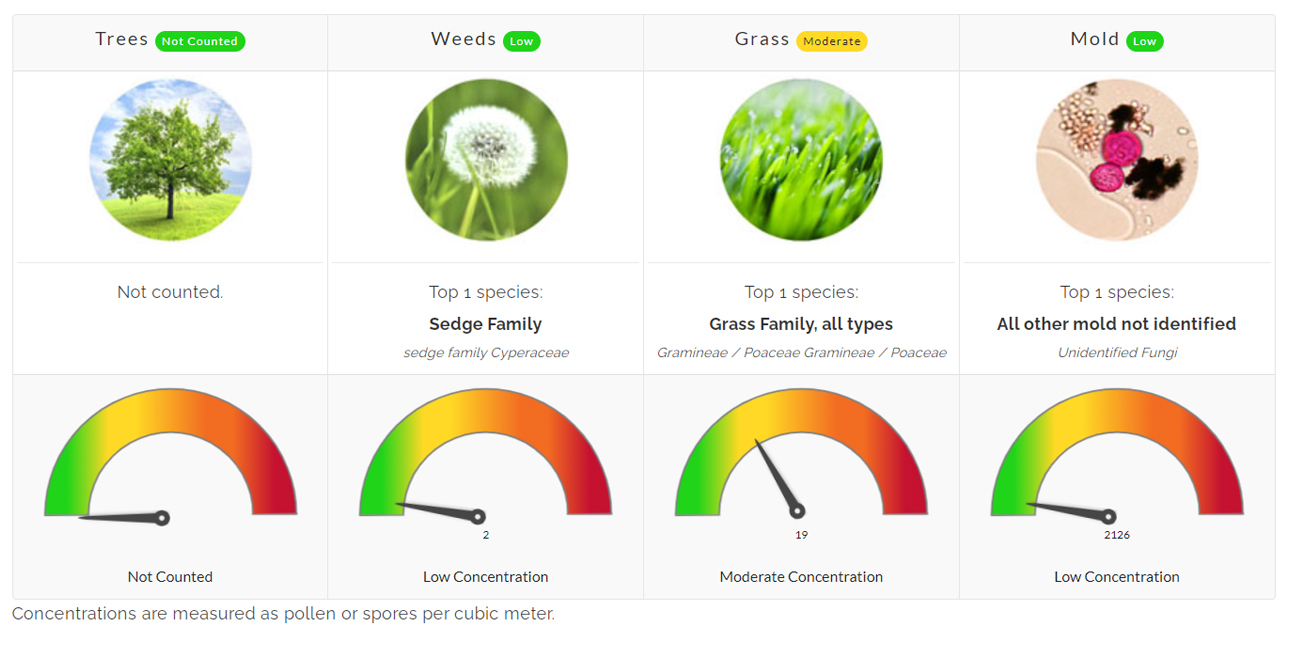 Pollen Count: May 27, 2023 - Family Allergy & Asthma Care