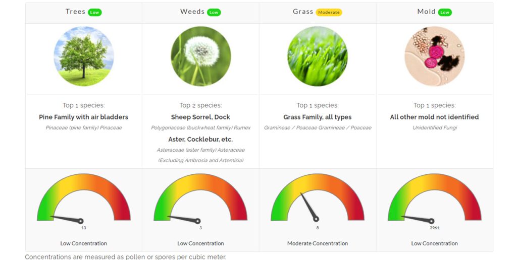 Pollen Count - June 19, 2023 - Family Allergy & Asthma Care