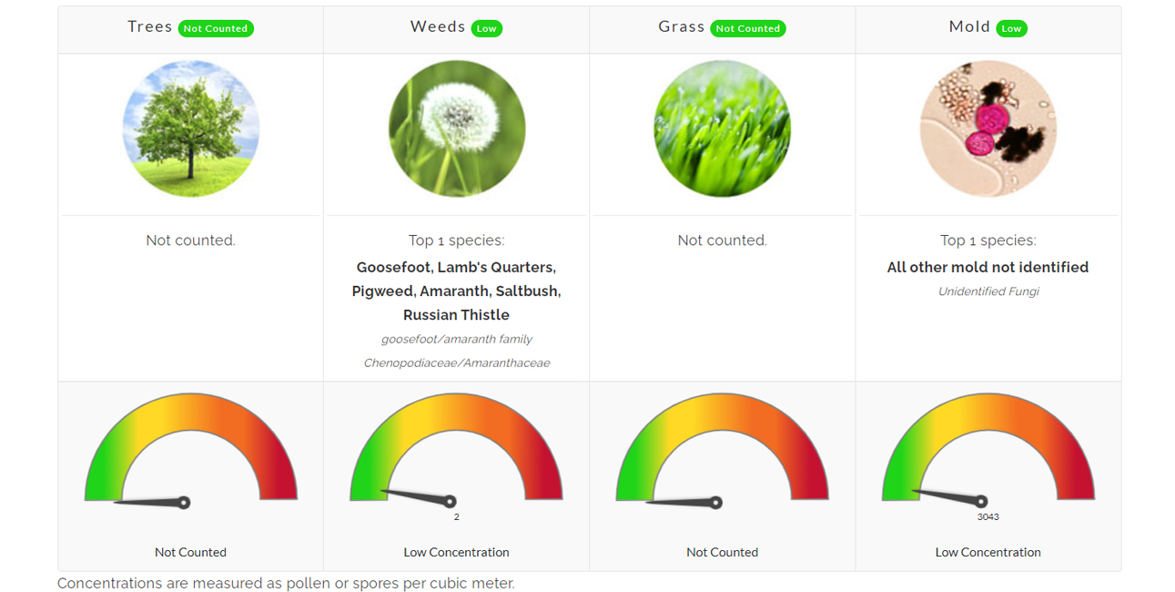 Pollen Count - June 28, 2023 - Family Allergy & Asthma Care