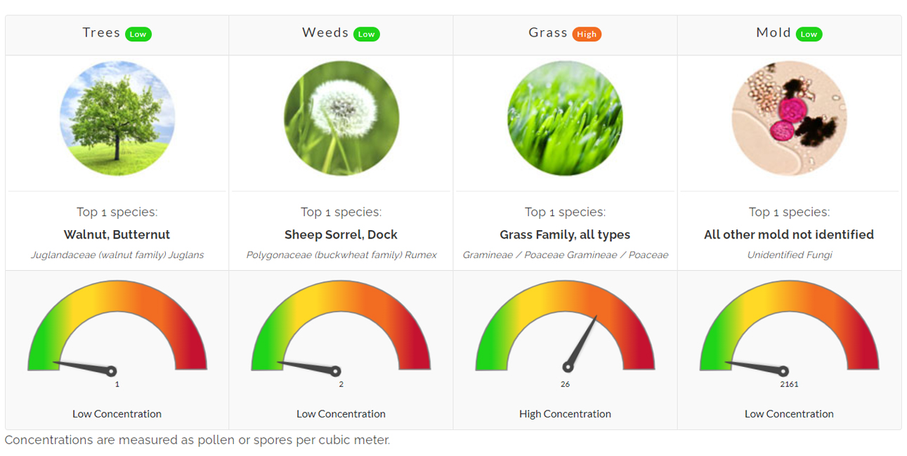 Pollen Count: June 2, 2023 - Family Allergy & Asthma Care