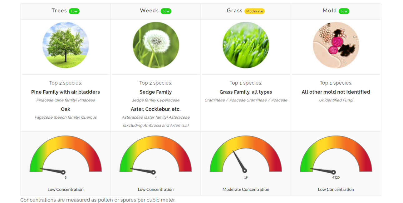 Pollen Count - June 16, 2023 - Family Allergy & Asthma Care