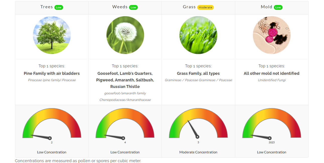 Pollen Count - June 26, 2023 - Family Allergy & Asthma Care